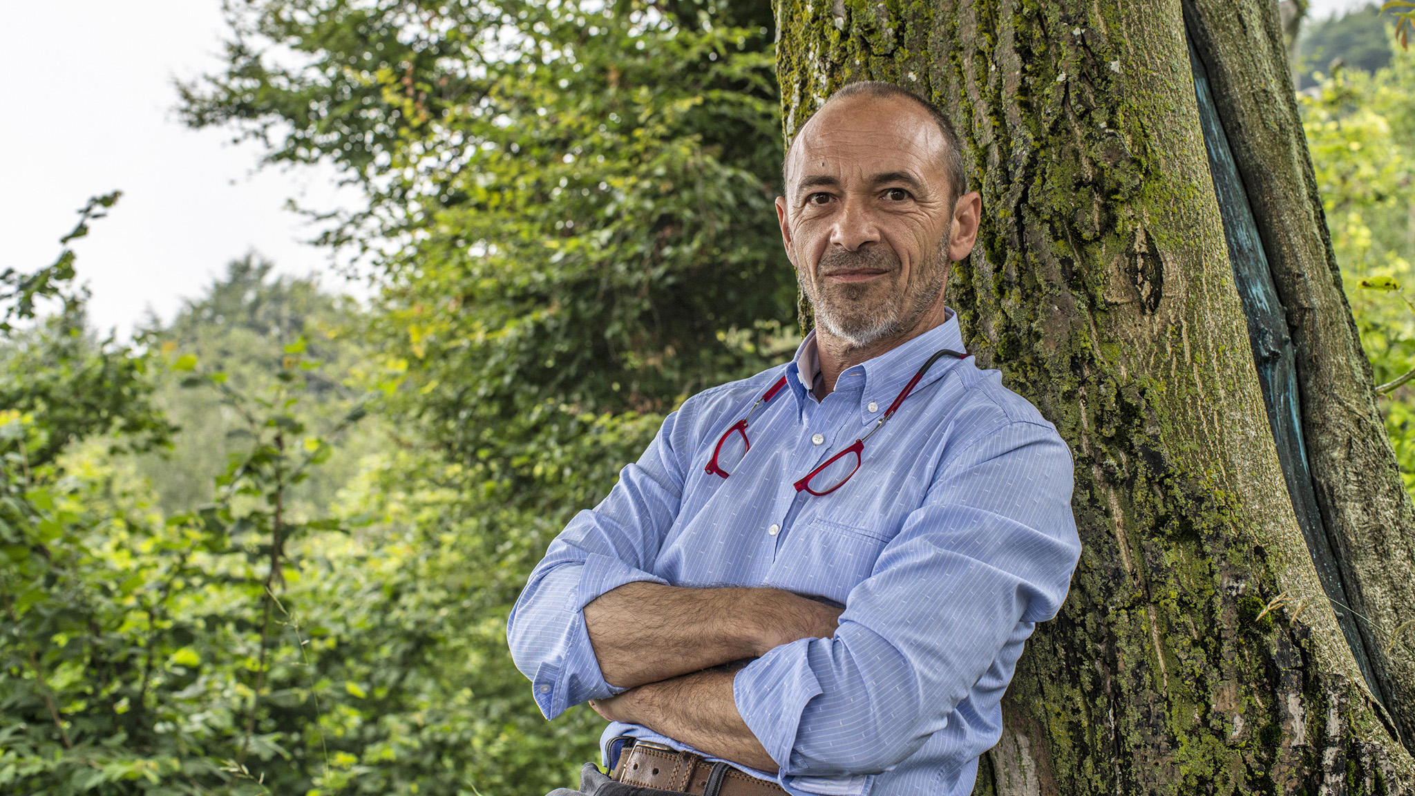 «I nostri alberi», convegno con uno dei massimi esperti al mondo ...